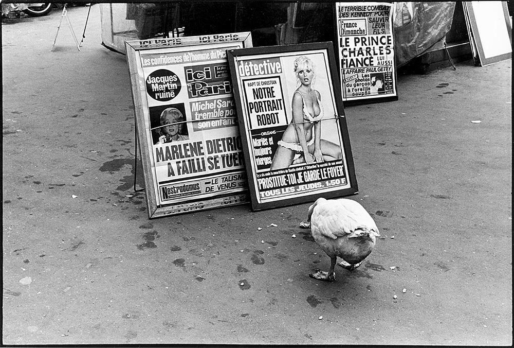 Ken Pate (1943)Selected images 1976 ca.Sette fotografie vintage alla ...