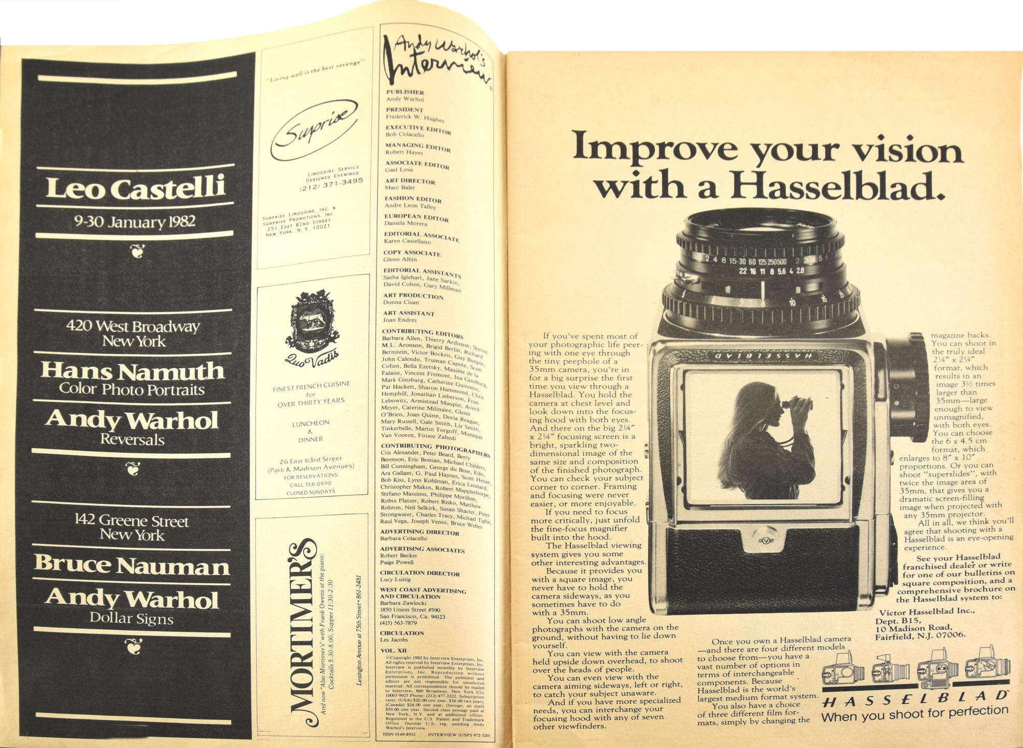 Andy Warhol INTERVIEW. FAYE DUNAWAY pennafeltro su copertina della rivista,... | ITINERIS CASA D ...