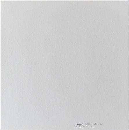 Brunella Longo LUIGI ONTANI fotografia, cm 50x50 firma esemplare 2/3 ...